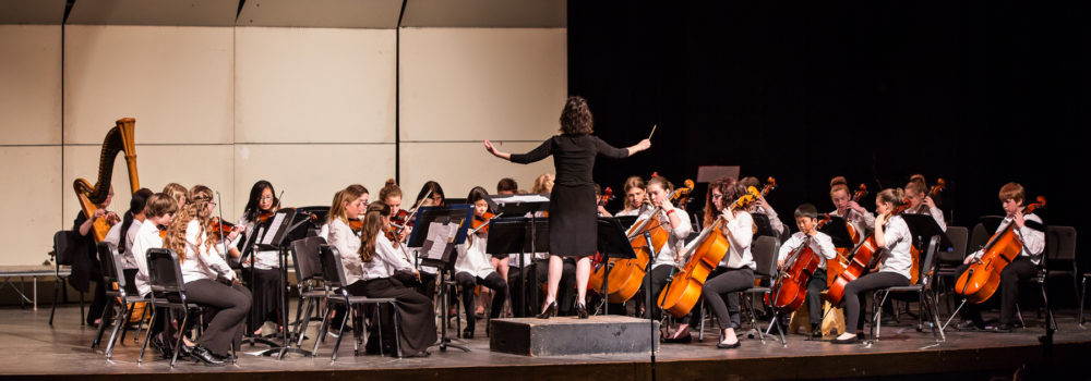 Little Symphony - Eugene Springfield Youth Orchestras